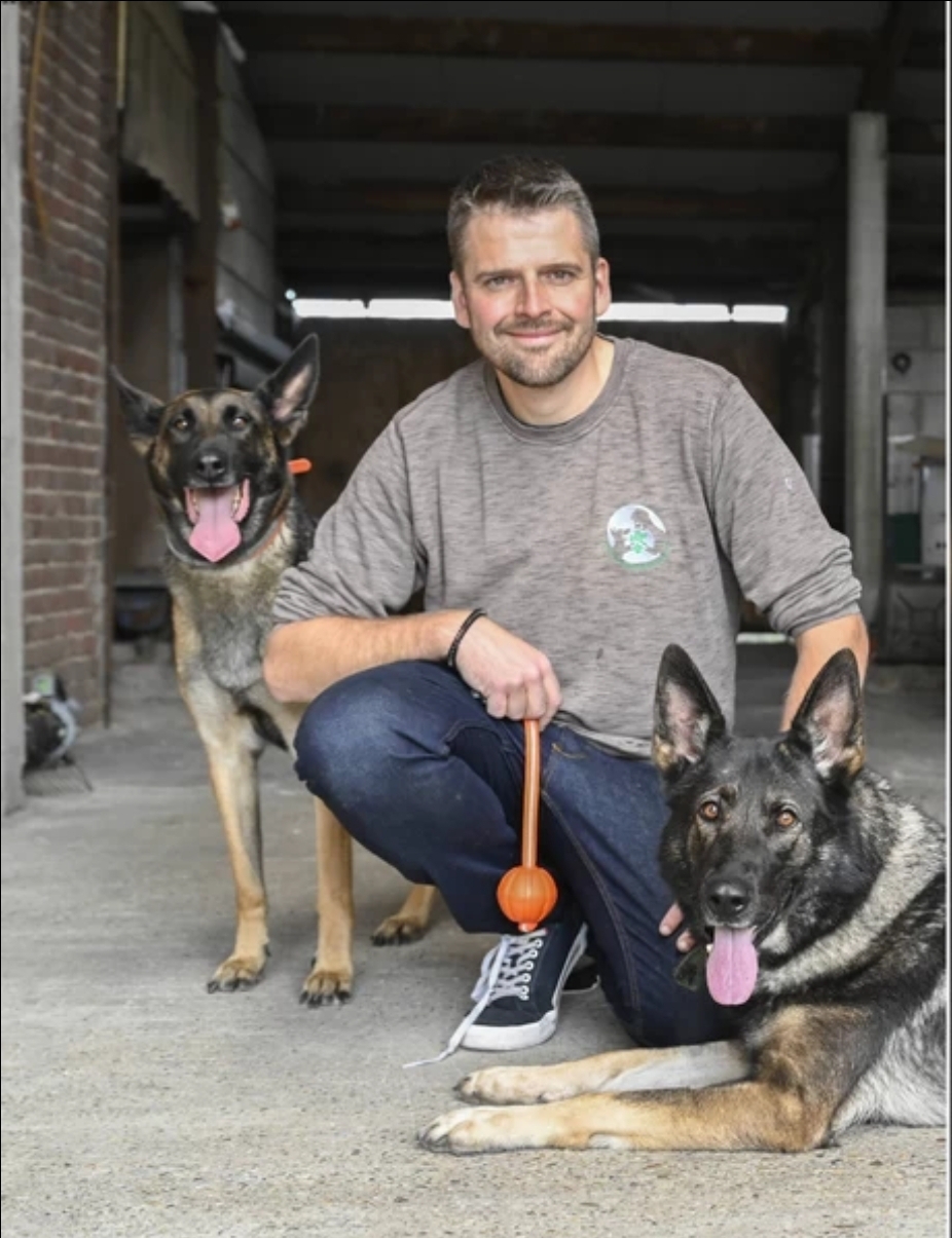 Bedwantsen detectie hond – Profesionneel en effectief in het zoeken ...